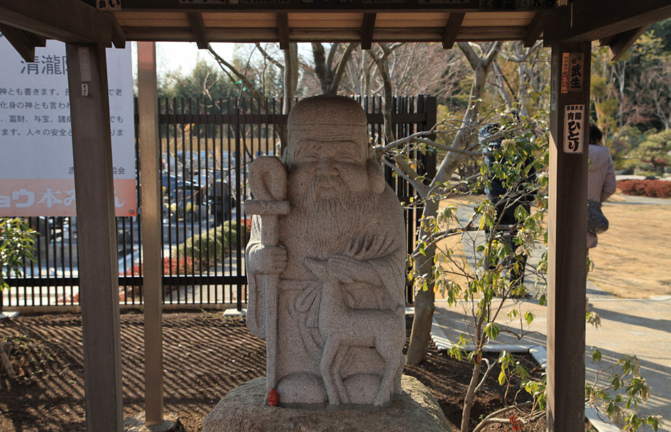 清瀧院のしだれ桜 | 千葉県流山市